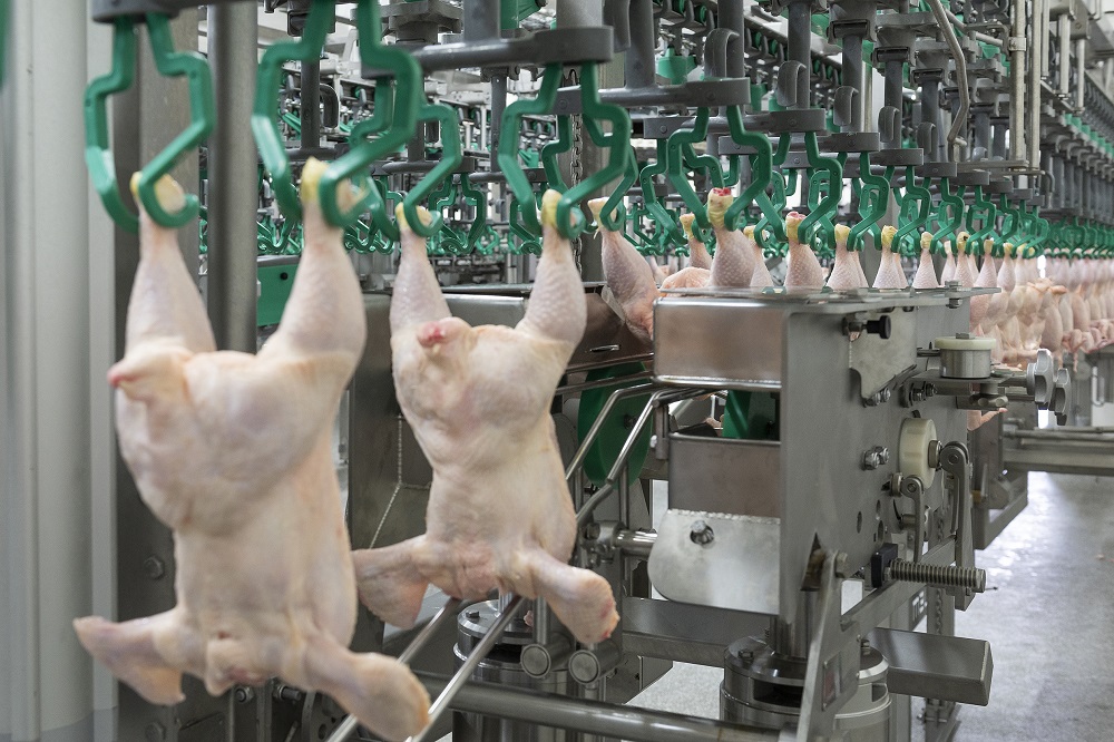 Osoul Industries | Poultry Slaughterhouse Equipment & Processing Lines